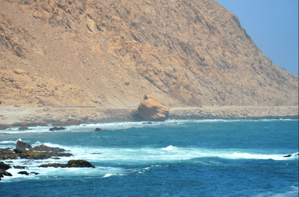 Masirah…Mishaps, Beaches, Shells and inter-tidal life… | Travels in the ...