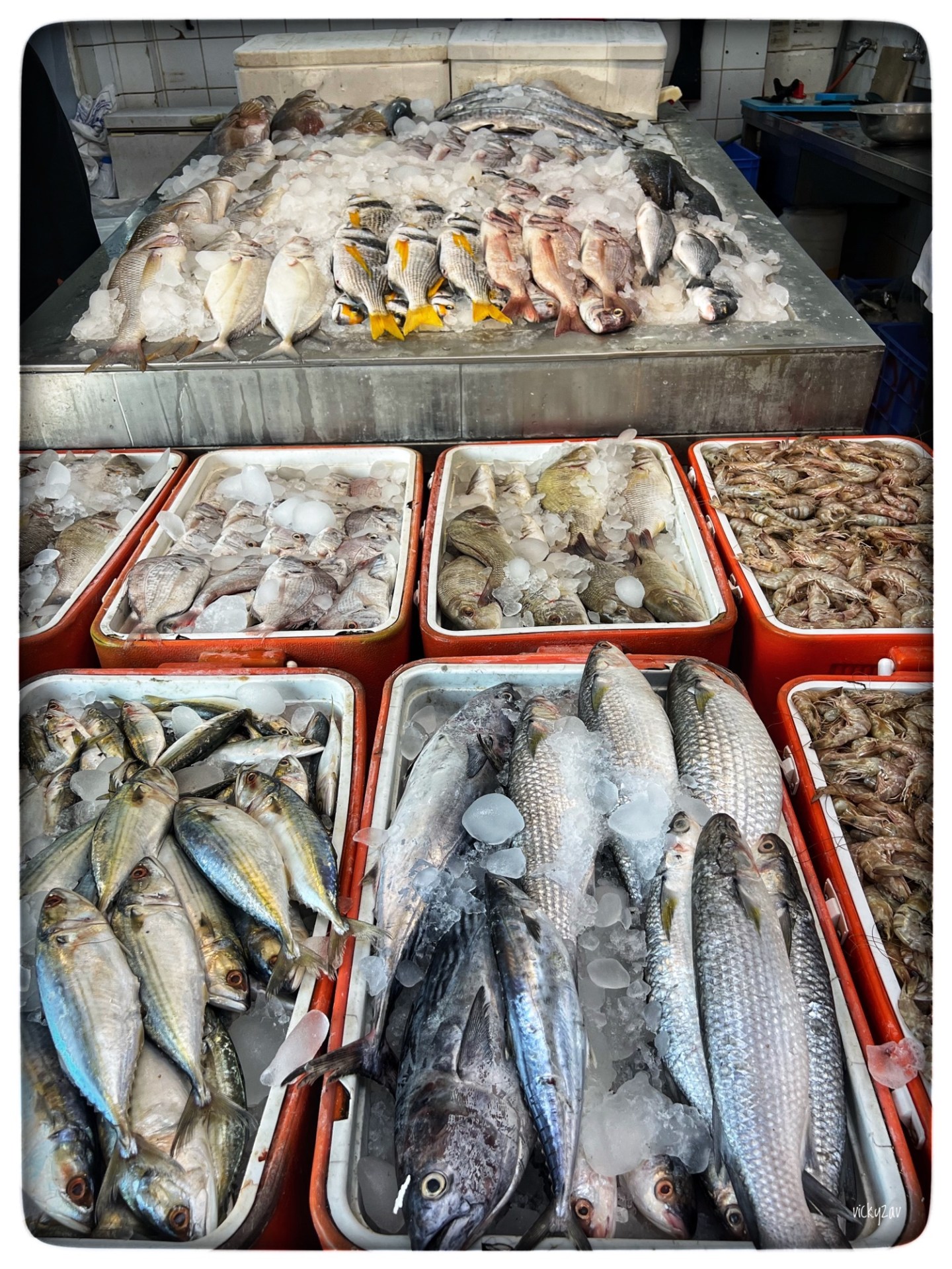 Al Hofuf, a town full of interest! | Travels in the Middle East and beyond